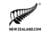 National Teams | Basketball New ZealandBasketball New Zealand